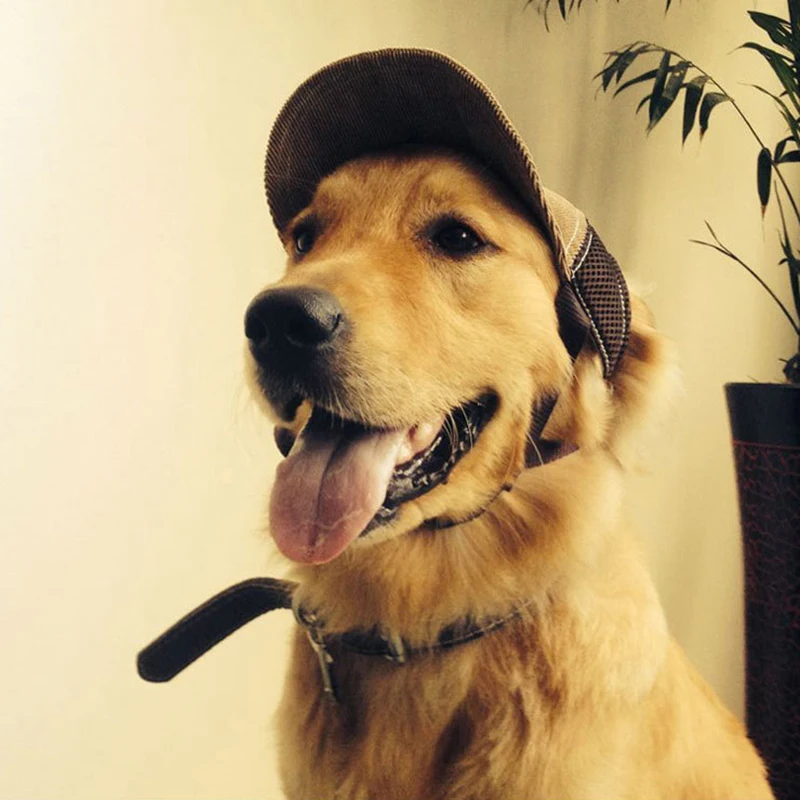 Cool Handsome Large Dog Baseball Cap Blue Jeans Pet Hat Dress Up ...