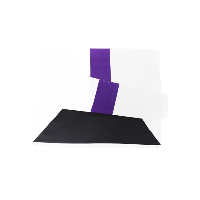 Demisexual Pride Flag (90x150 cm) - Queerks™