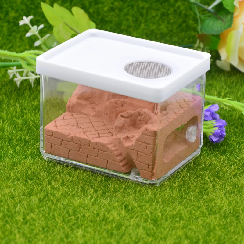 New Ecological Plaster Ant Farm square Nest Landscaping Ant House Ant ...