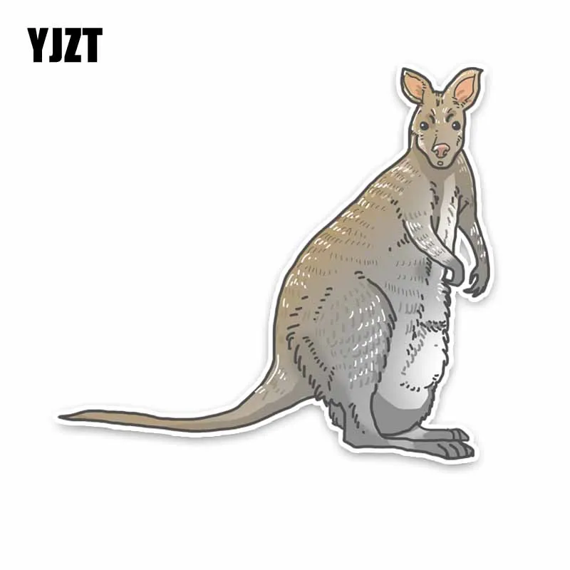 YJZT 13CM*14.3CM Funny Wildlife kangaroo PVC Car Sticker Decal C29 0557 ...