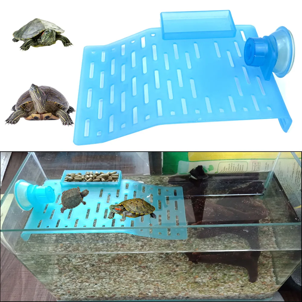 Pet Turtles Tanks