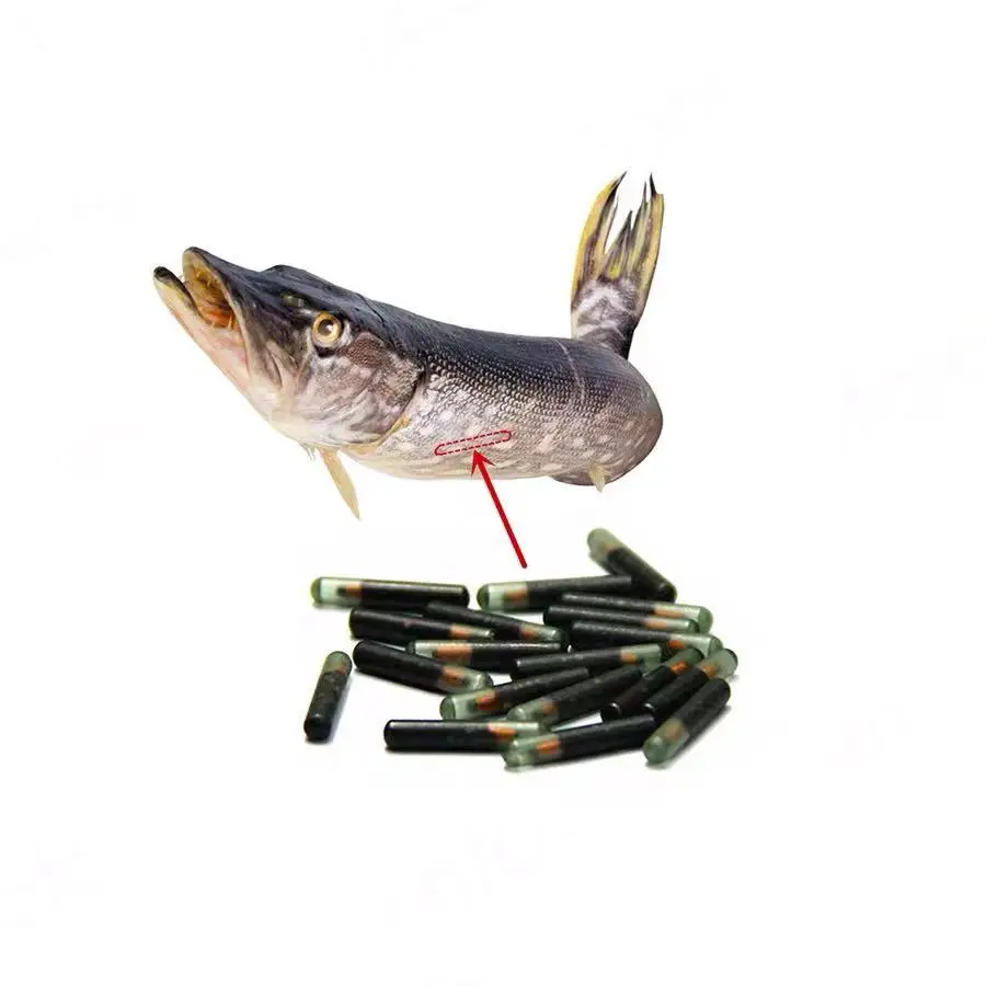 100PCS 1.4x8 mm134.2KHz RFID Glass Tag for Pet Identification,Tag for ...