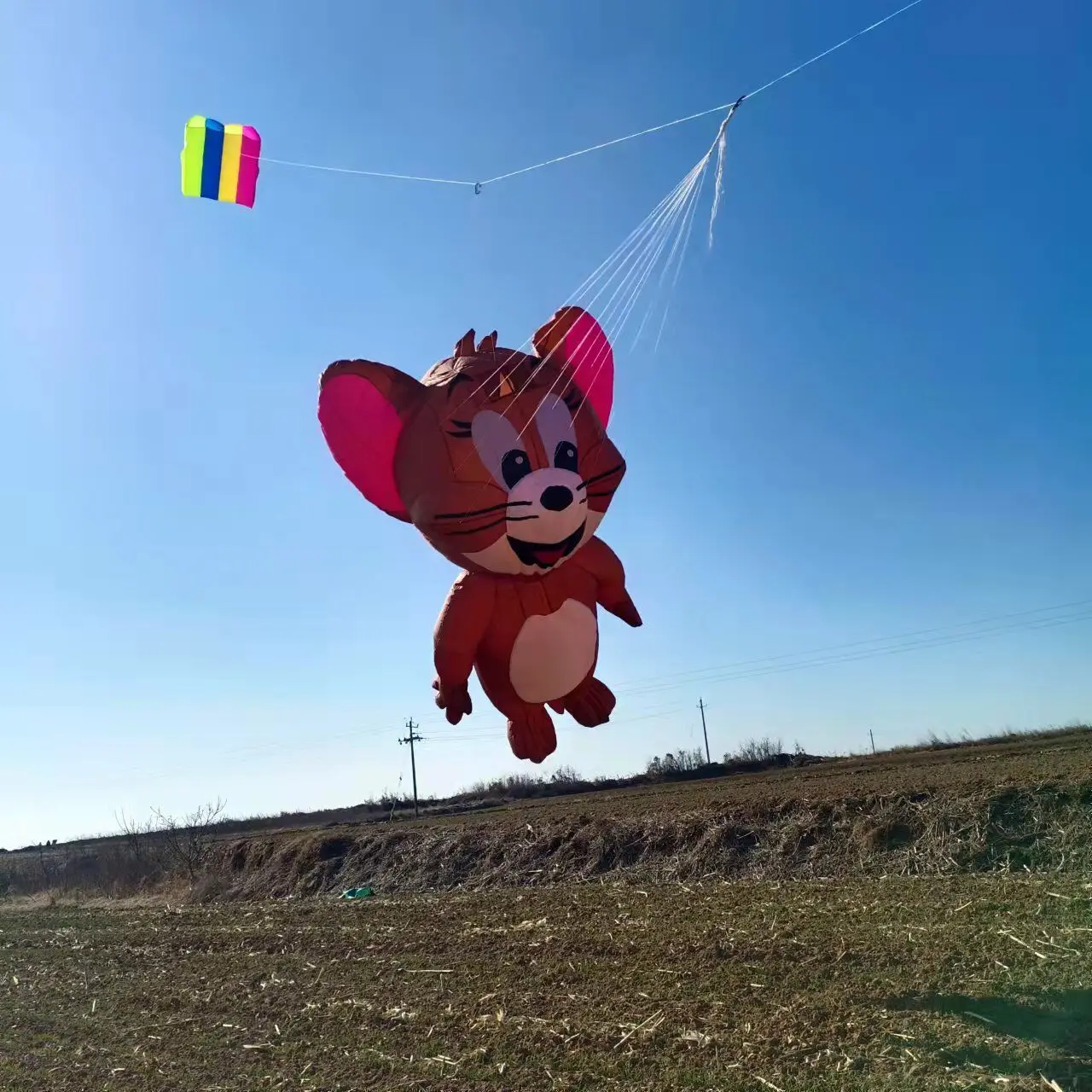 Tom And Jerry Airblown