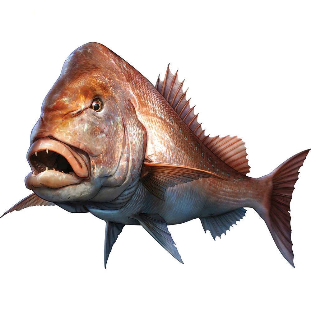 Car-Sticker-Fashion-Large-Mouth-Bass-Fish-Fishing-Pagrus-Major-Boat ...