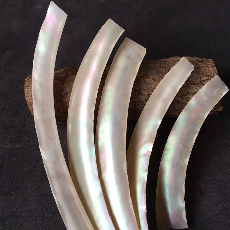 1piece 0.5mm Thickness Natural Conch Shell Slice For Diy Home ...