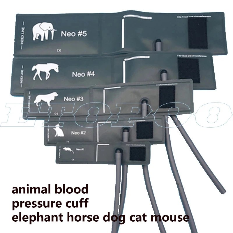 All-Size-Elephant-Horse-Dog-Cat-and-Mouse-veterinary-blood-pressure ...