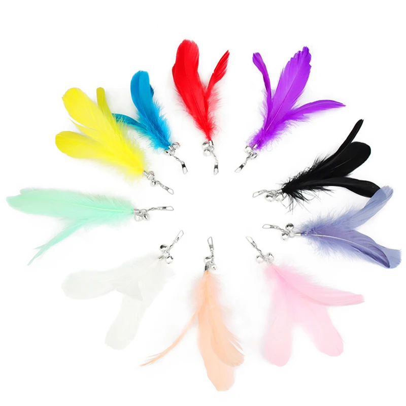 Feather Cat Toy Accessories | Feather Teaser Stick | Feather Pet Toy ...
