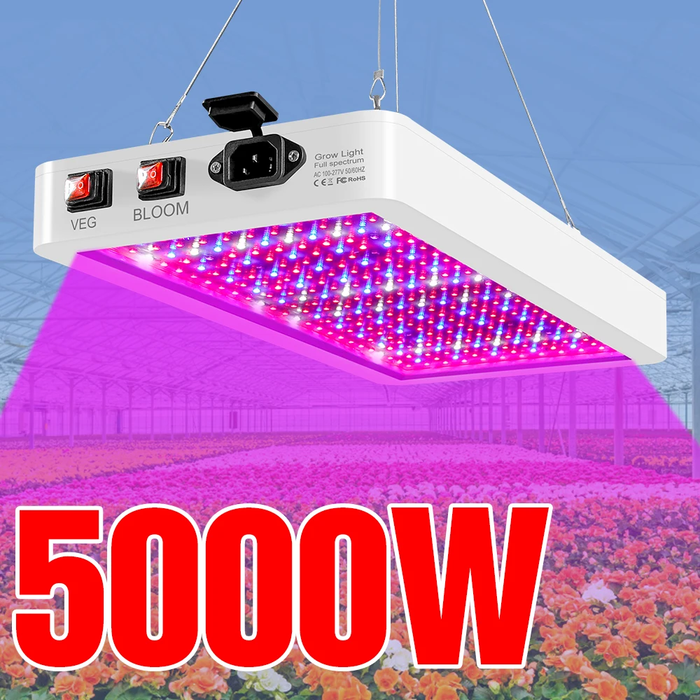 5000W 양자 보드 LED 성장 빛 식물 램프 전체 스펙트럼 LED 식물 전구 실내 4000W Phytolamp 꽃 모종 ...