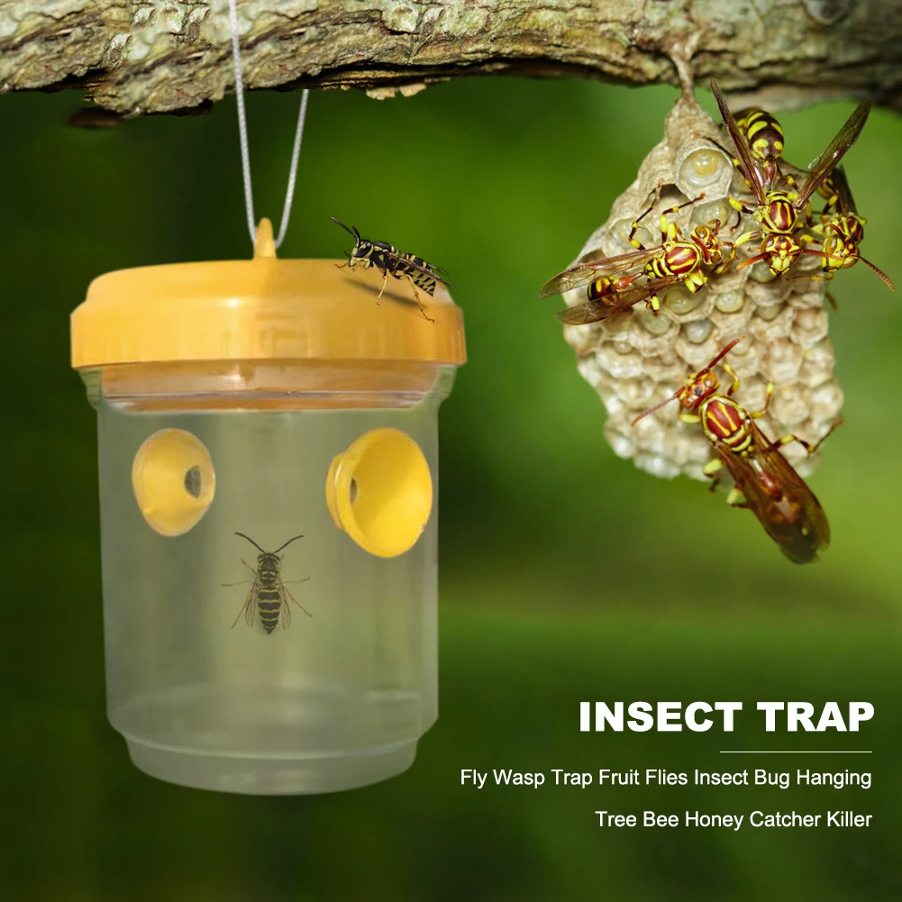 Portable Plastic Transparent Insect Traps Hanging Flies Bugs Bee Insect ...