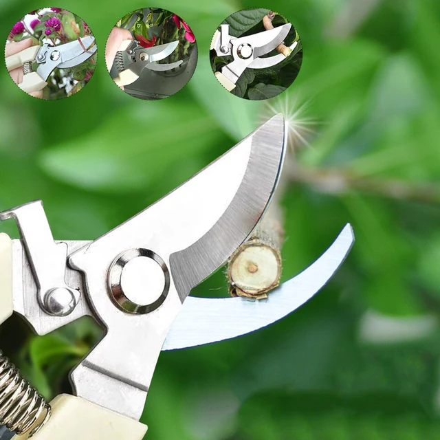 Garden Tools Plant Trim Horticulture Hand Pruner Cut Secateur Shrub ...