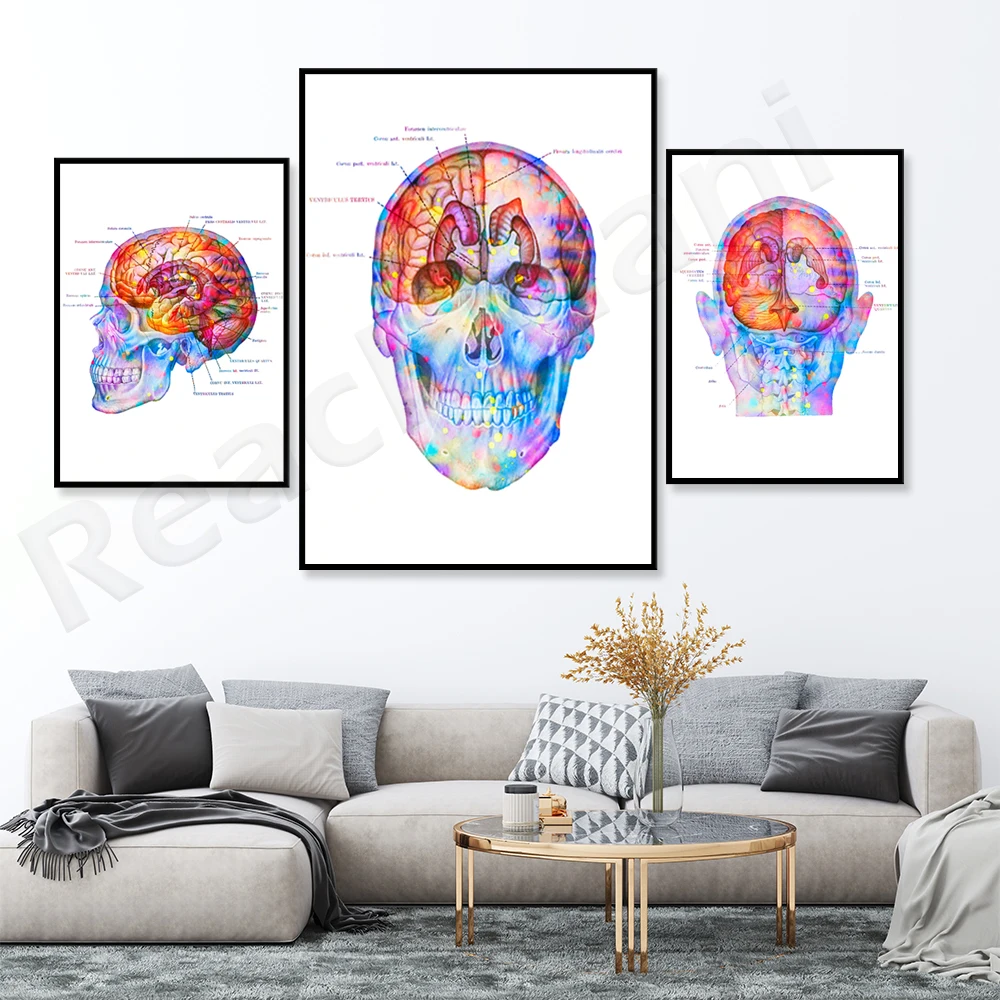Craniocerebral-Topographic-Map-Poster-Brain-Anatomy-Art-Anatomy-Brain ...