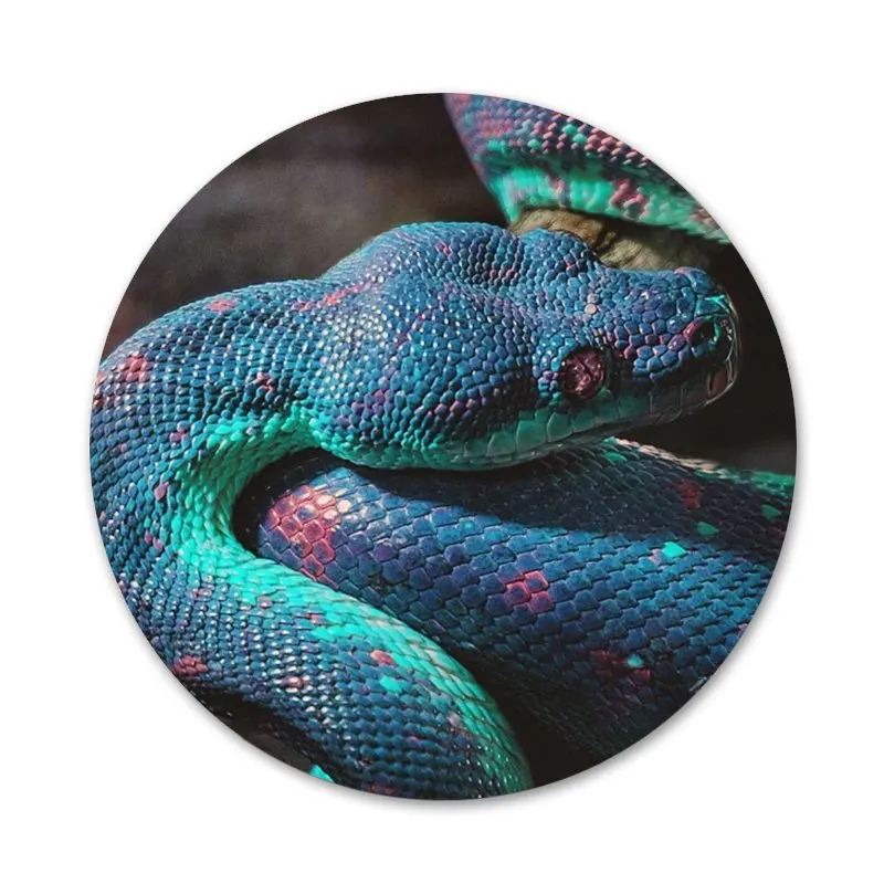 Black Python Wallpaper