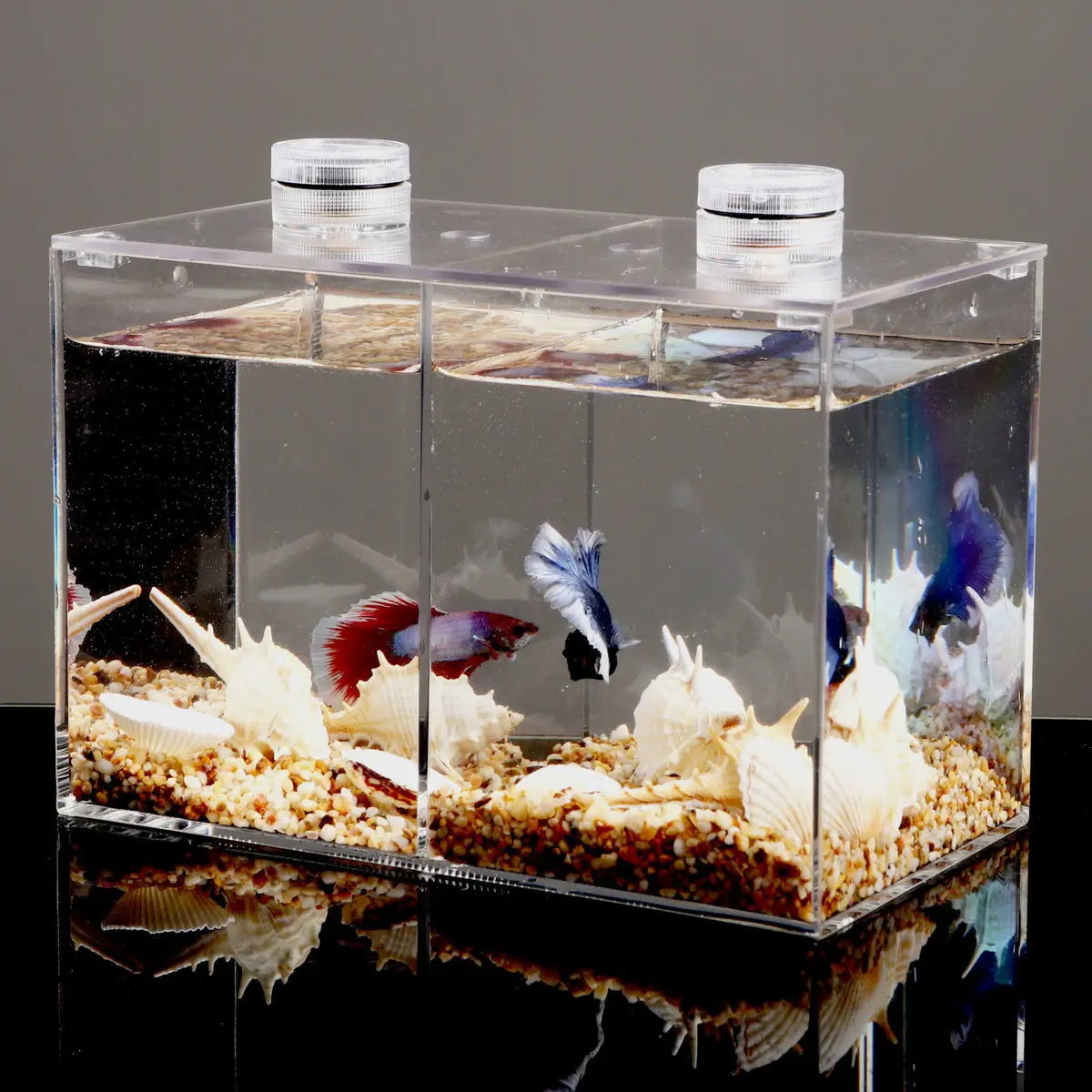 Small Betta Fish Tank Acrylic Aquarium Tank Landscaping Tortoise Tanks ...