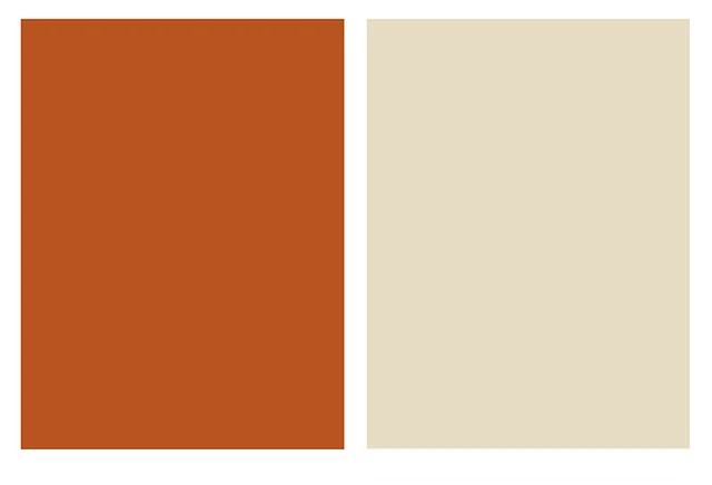 Solid Burnt Orange Background