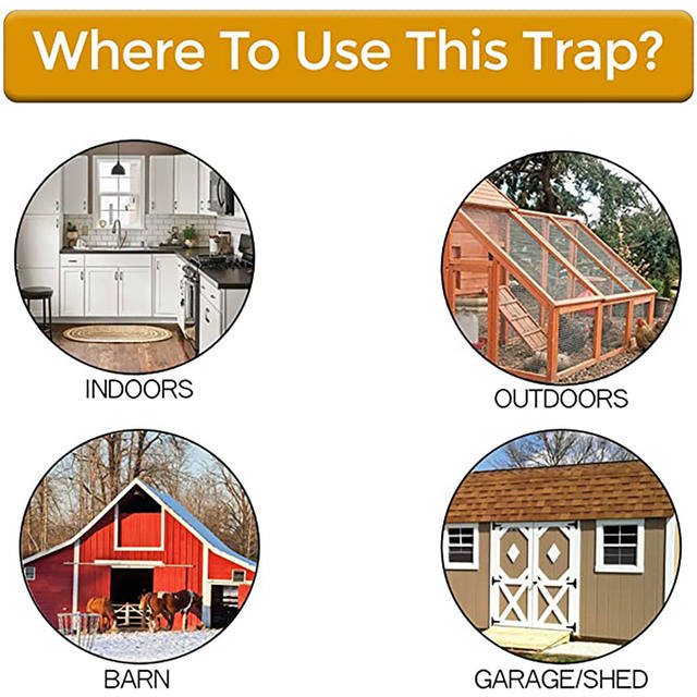 Drop In The Bucket Mouse Trap | asghedom.com