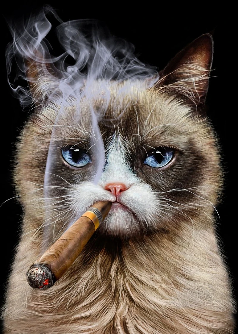 Animals Smoking Cigarettes Poster