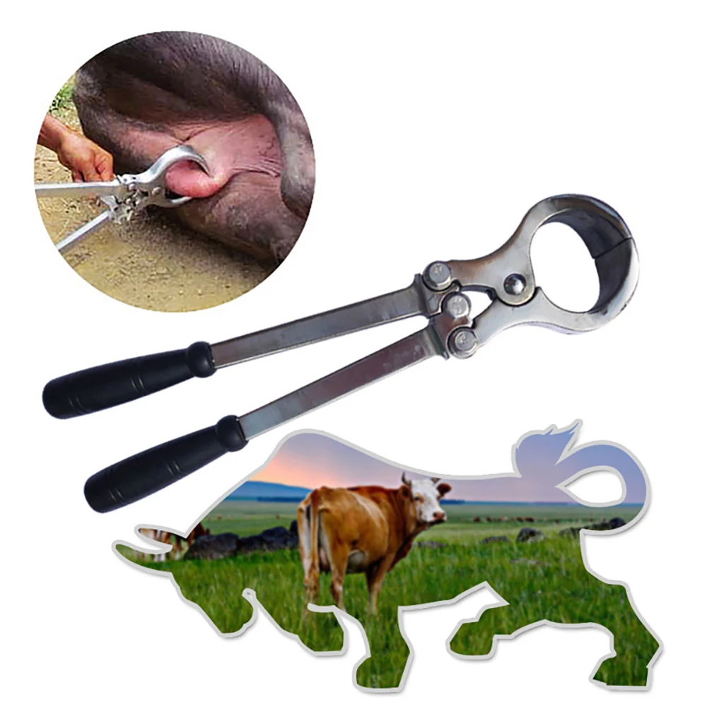 Bovino-Bull-Boi-Bloodless-emasculation-Castrate-Clamp-Burdizzo ...