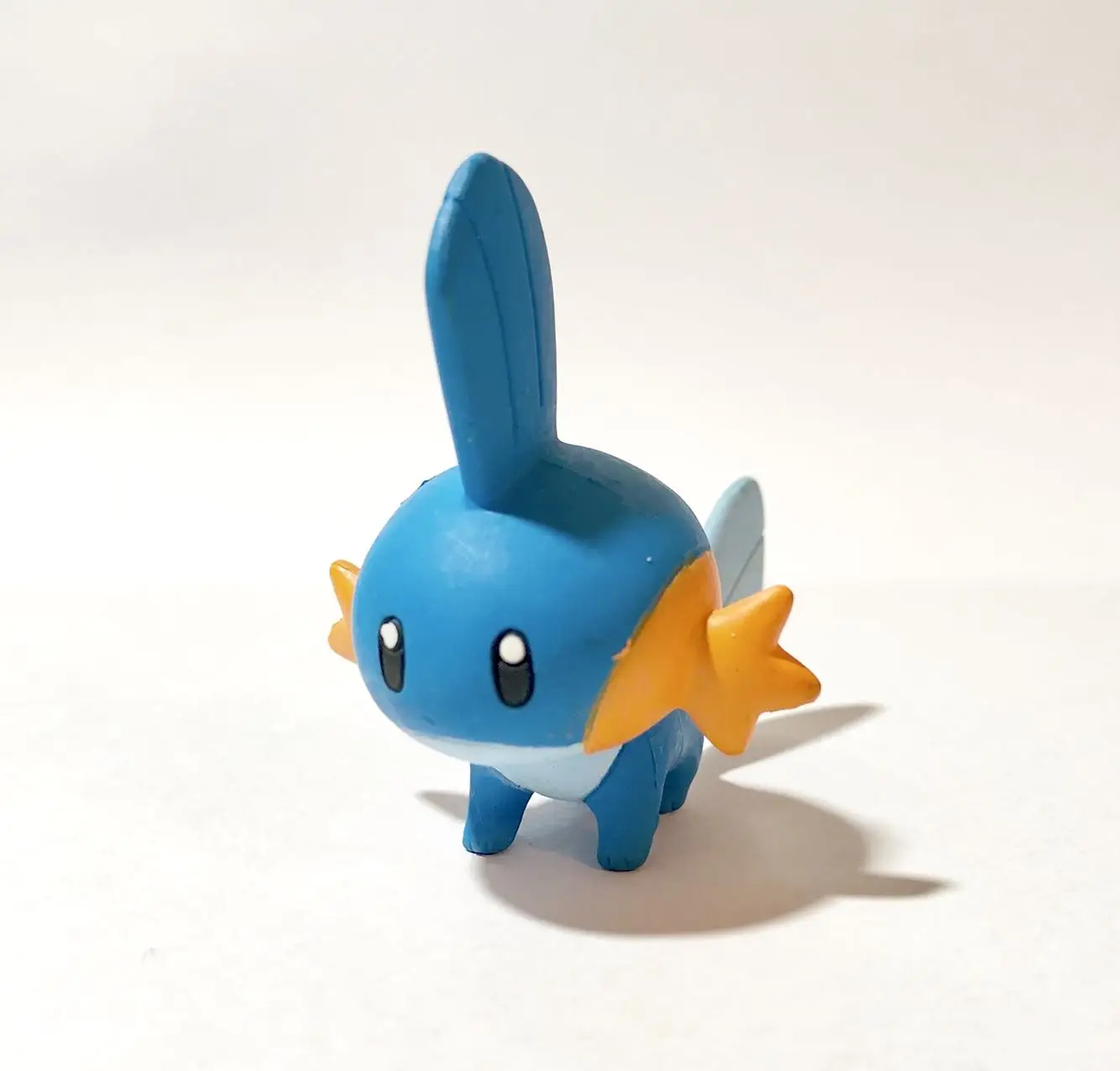 Real Mudkip