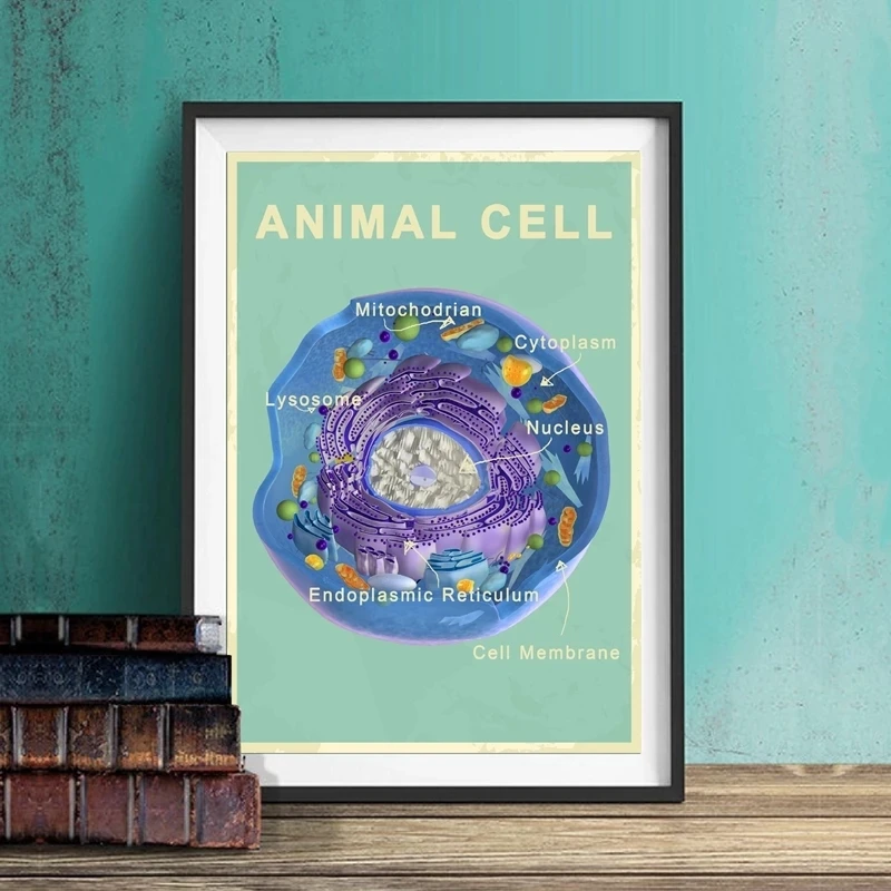 Animal Cell Project Poster