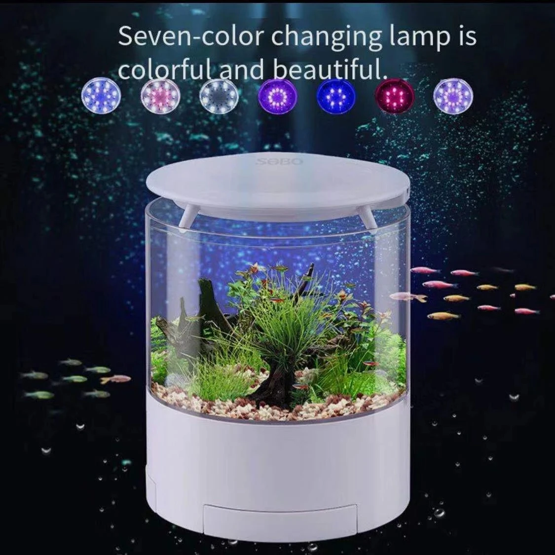 Round-colorful-lights-desktop-fish-tank-mini-fighting-fish-tank-small ...