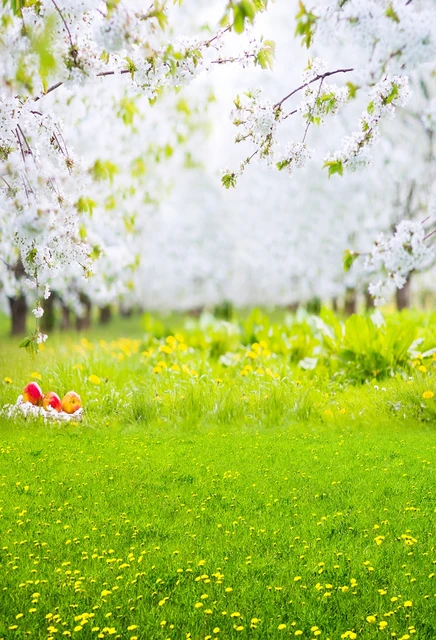 Spring Baby Background