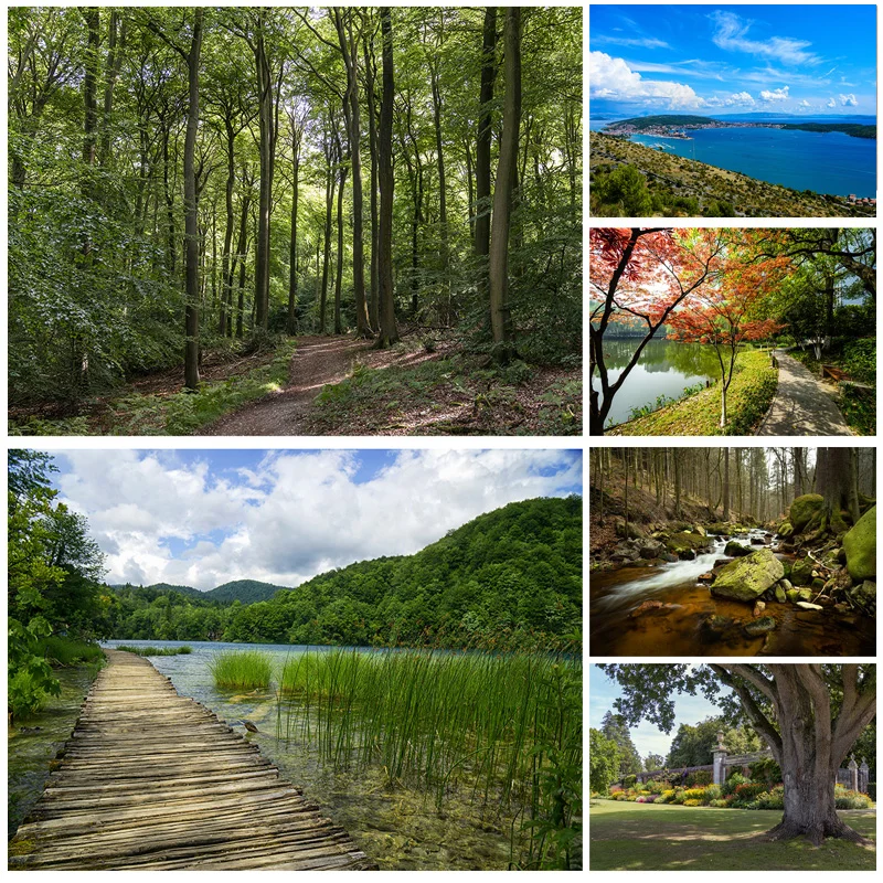 ZHISUXI-Spring-Natural-Scenery-Photography-Background-Travel-Landscape ...