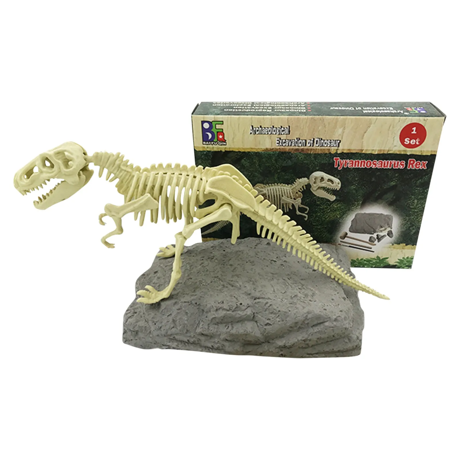 T Rex Dinosaur Bones Kit