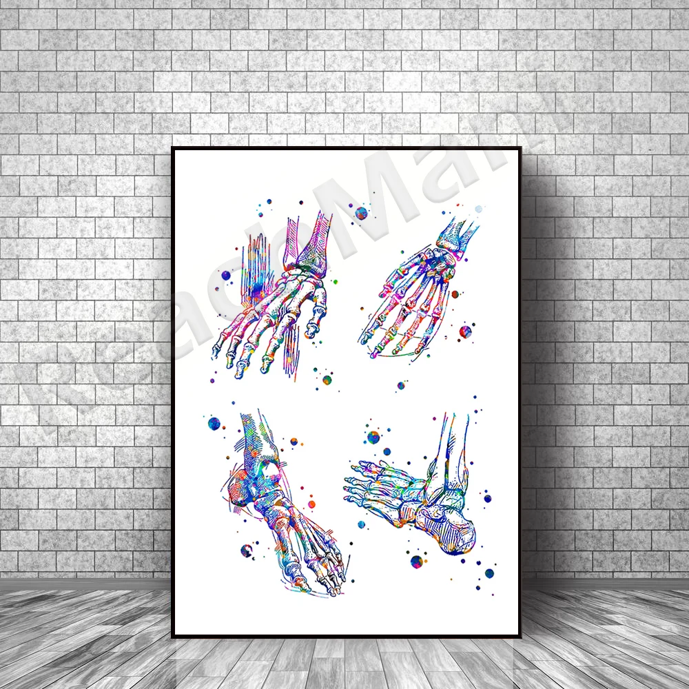 Hand Bones Skeleton Drawing