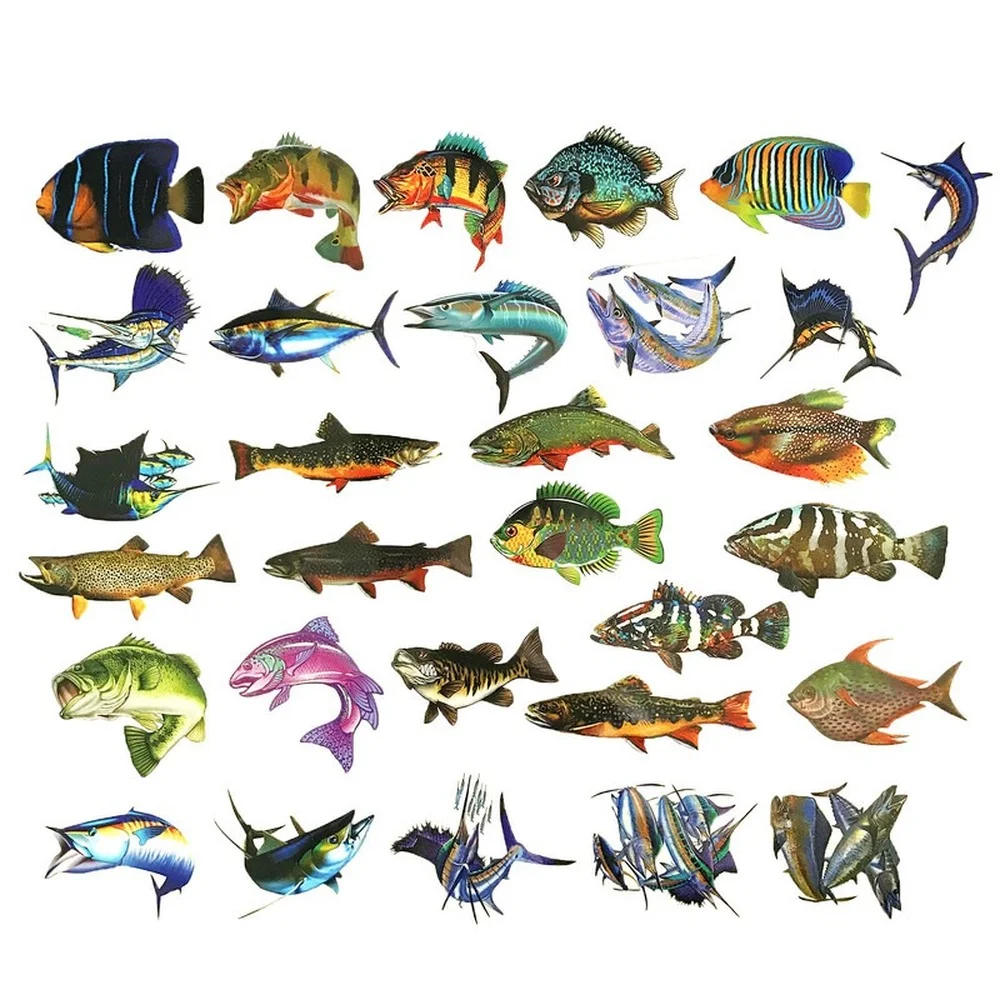 10/50pcs Outdoors Fisherman Go Fishing Fashion Fish Stickers For Mobile ...