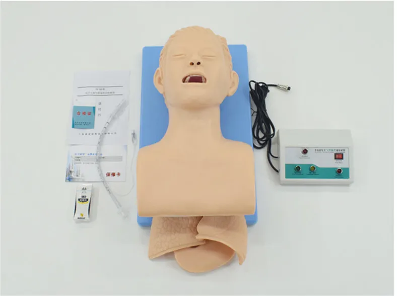 Intubation Model Manikin Airway Management Study Teaching Trainer Model ...