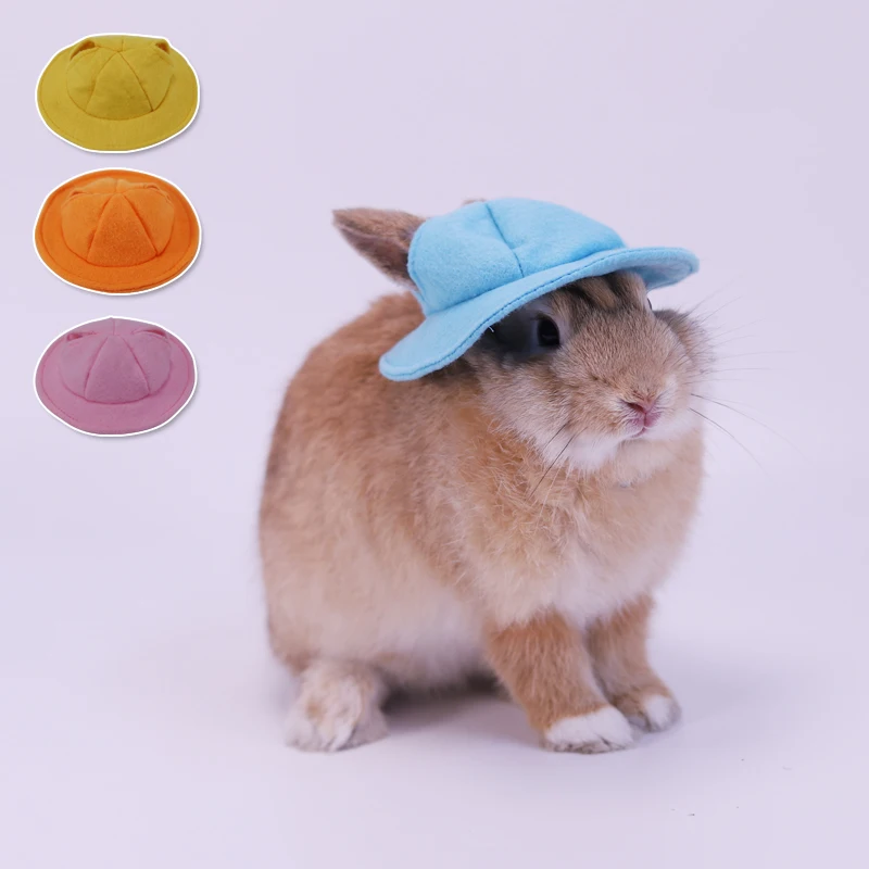 Small Animals Wearing Cap Hat Pet Clothing Accessories for Guinea Pig ...