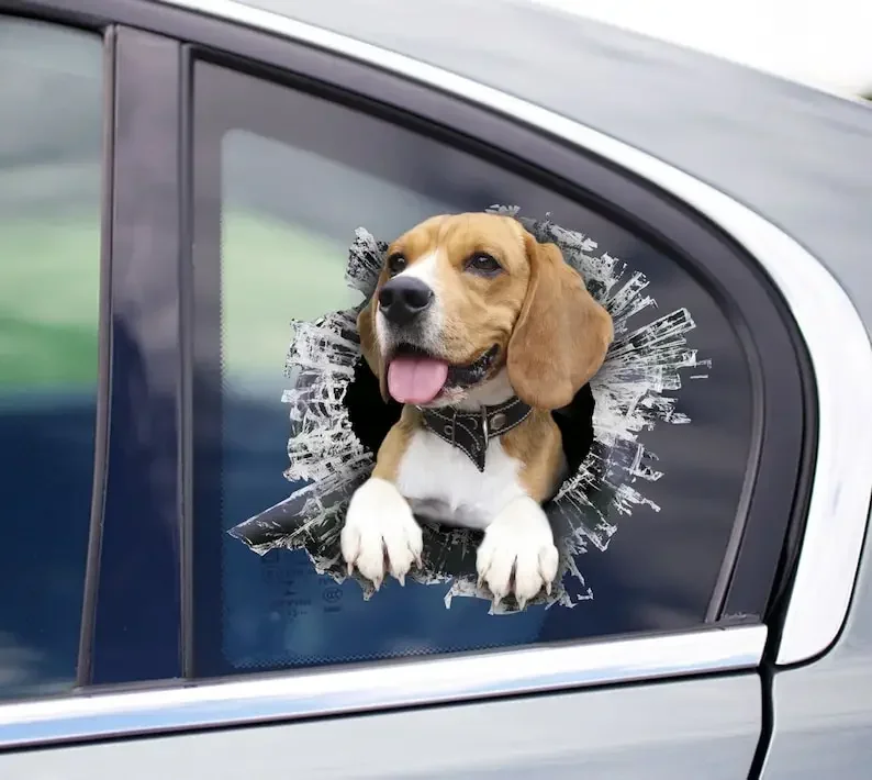 Beagle window sticker, car sticker, Beagle car decal - AliExpress 34