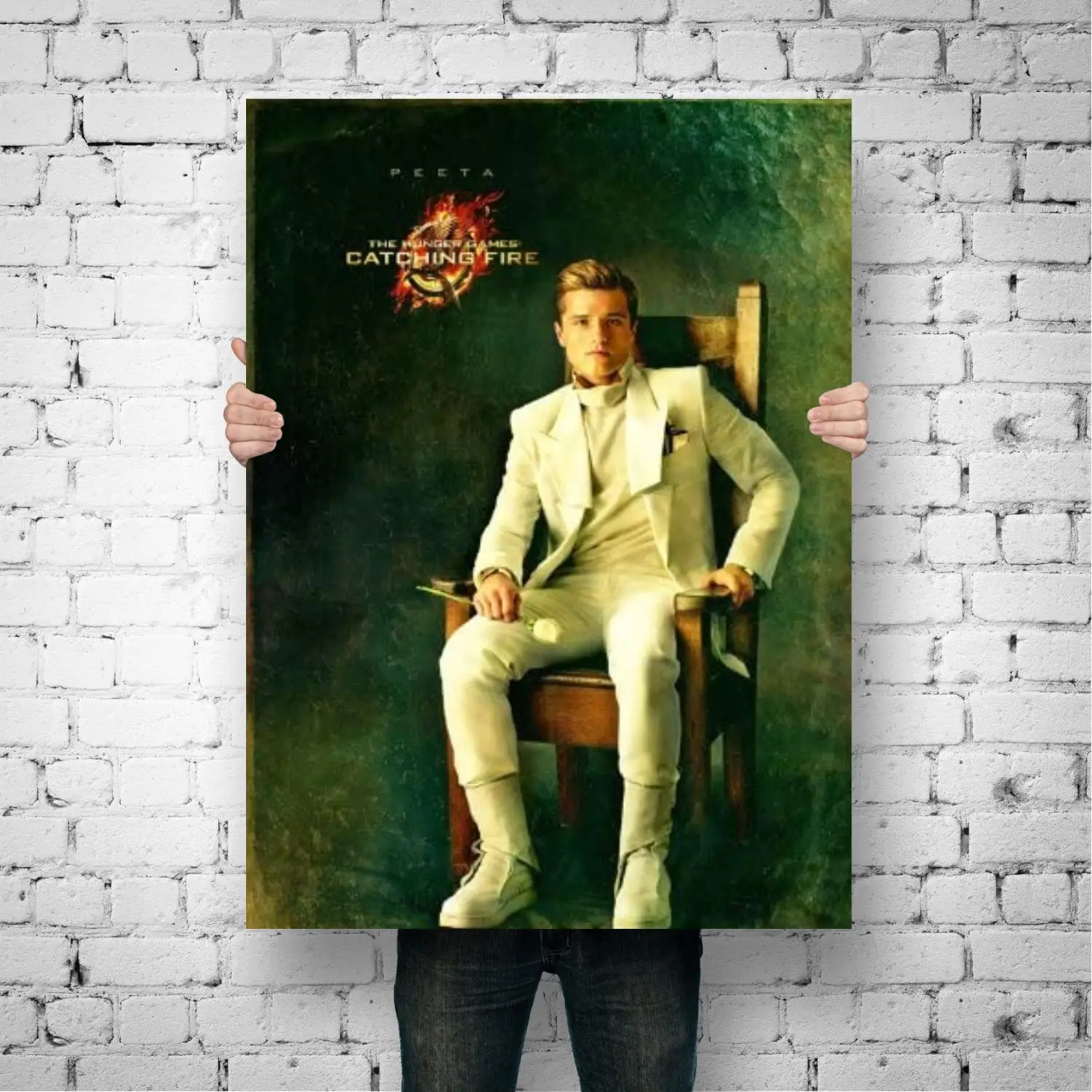 Mockingjay Peeta Poster