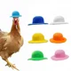 Sombrero de pollo para gallinas y mascotas pequeñas, accesorios ...