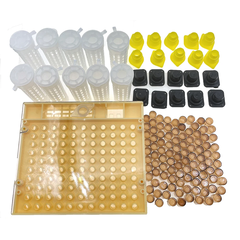 Nicot Apiculture Kit Incubator Box Queen Rearing Cupkit 120PCS Brown ...