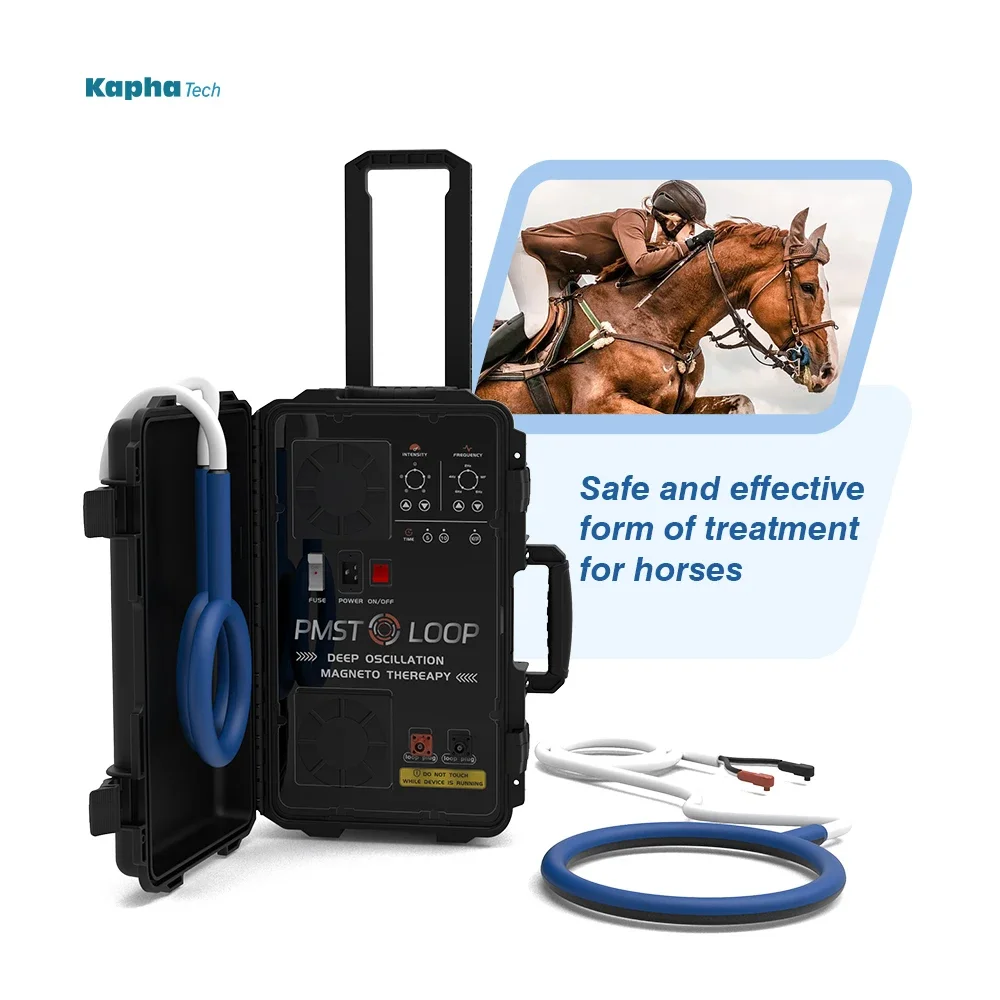 Newest-Horse-Rehabilitation-Machine-PMST-LOOP-For-Horse-Musculoskeletal ...