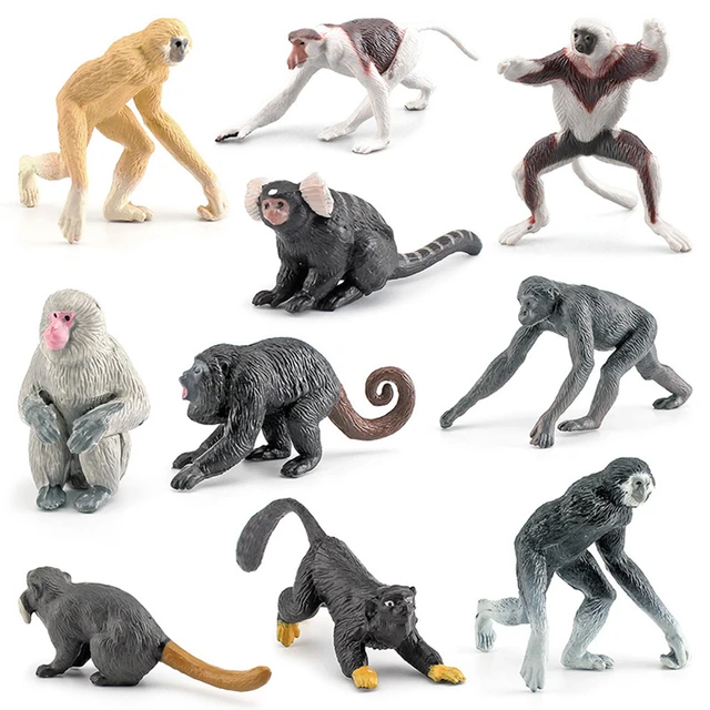 Real Jungle Animals Monkeys