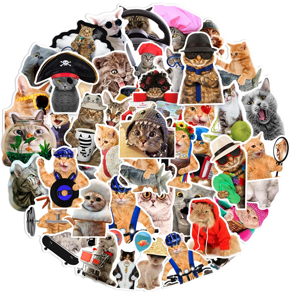 10/30/66pcs Cute Funny MEME Cat Stickers Kawaii Cartoon Animals Decals ...