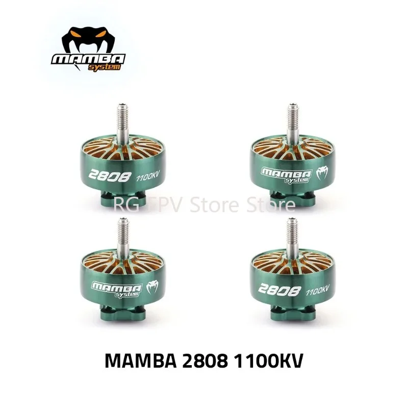 MAMBA-Brushless-Racing-Motor-para-Roma-F7-2808-1100KV.jpg