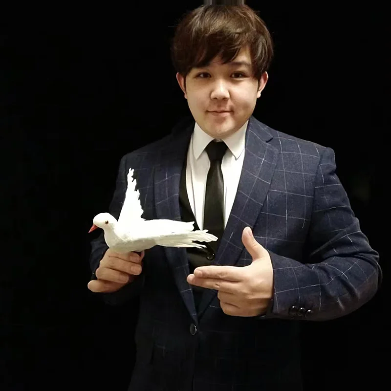 Electronic Bionic Dove By J.C Magic Tricks Classic Dove Magia Props ...