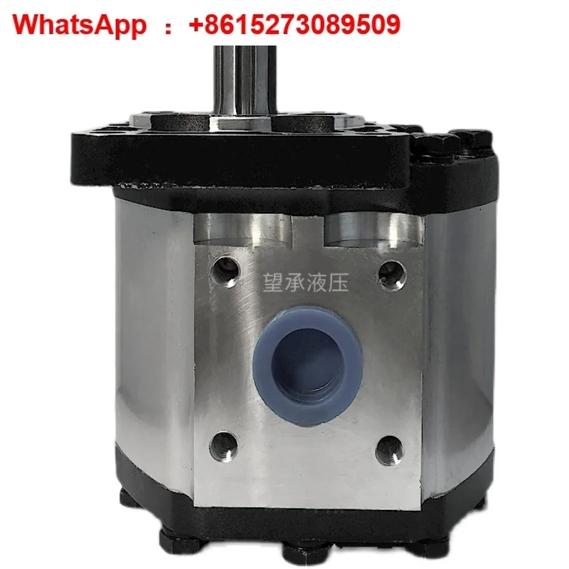 24 new hydraulic gear pump CBN CBT-E/F325 532 550 563 580 high flow ...