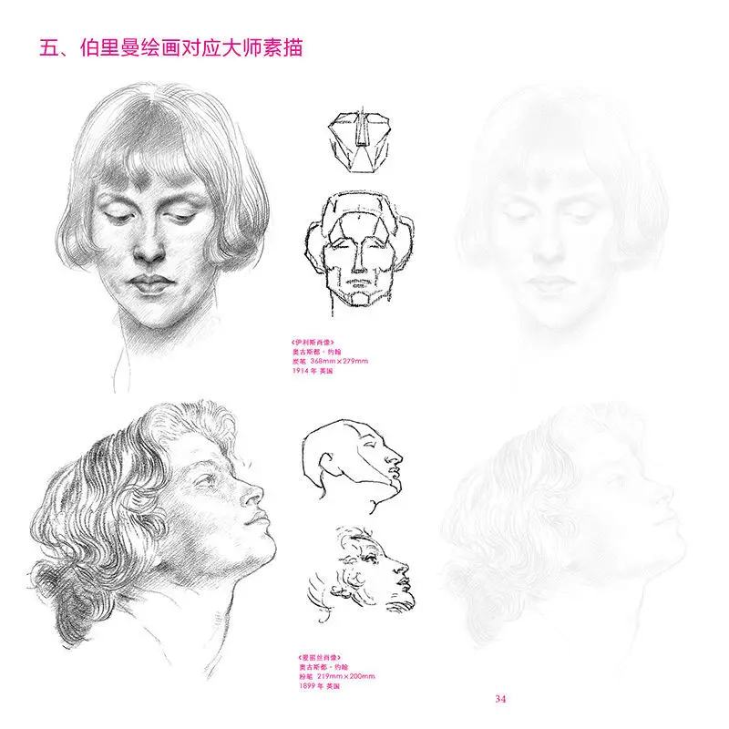 Human Head Drawing Reference