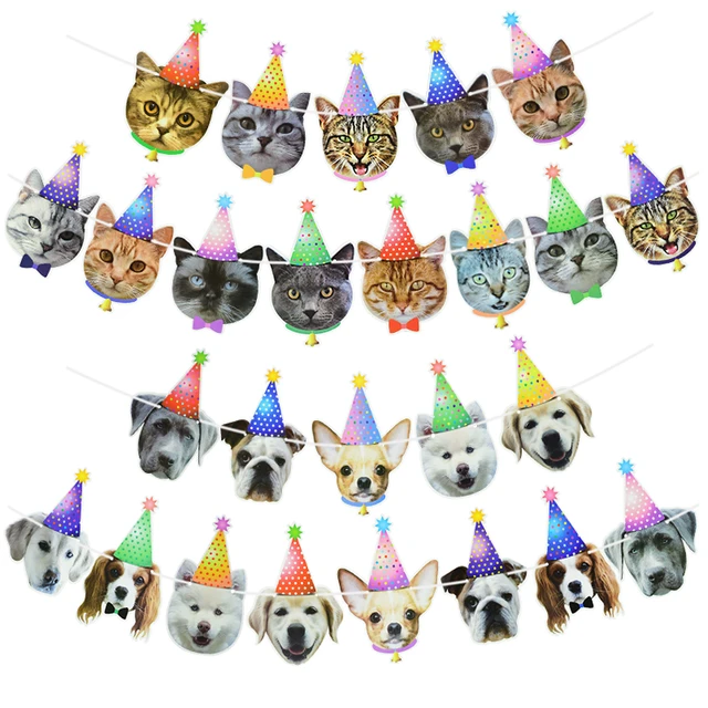 Happy Birthday Cats And Dogs