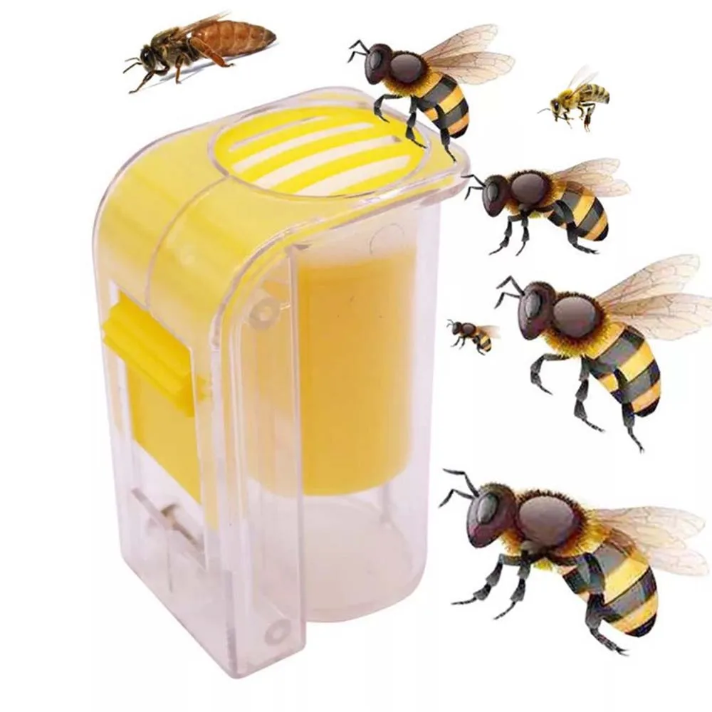 Rearing-Queen-Bee-Marking-Catcher-Plastic-Handed-Marker-Bottle-Plunger ...
