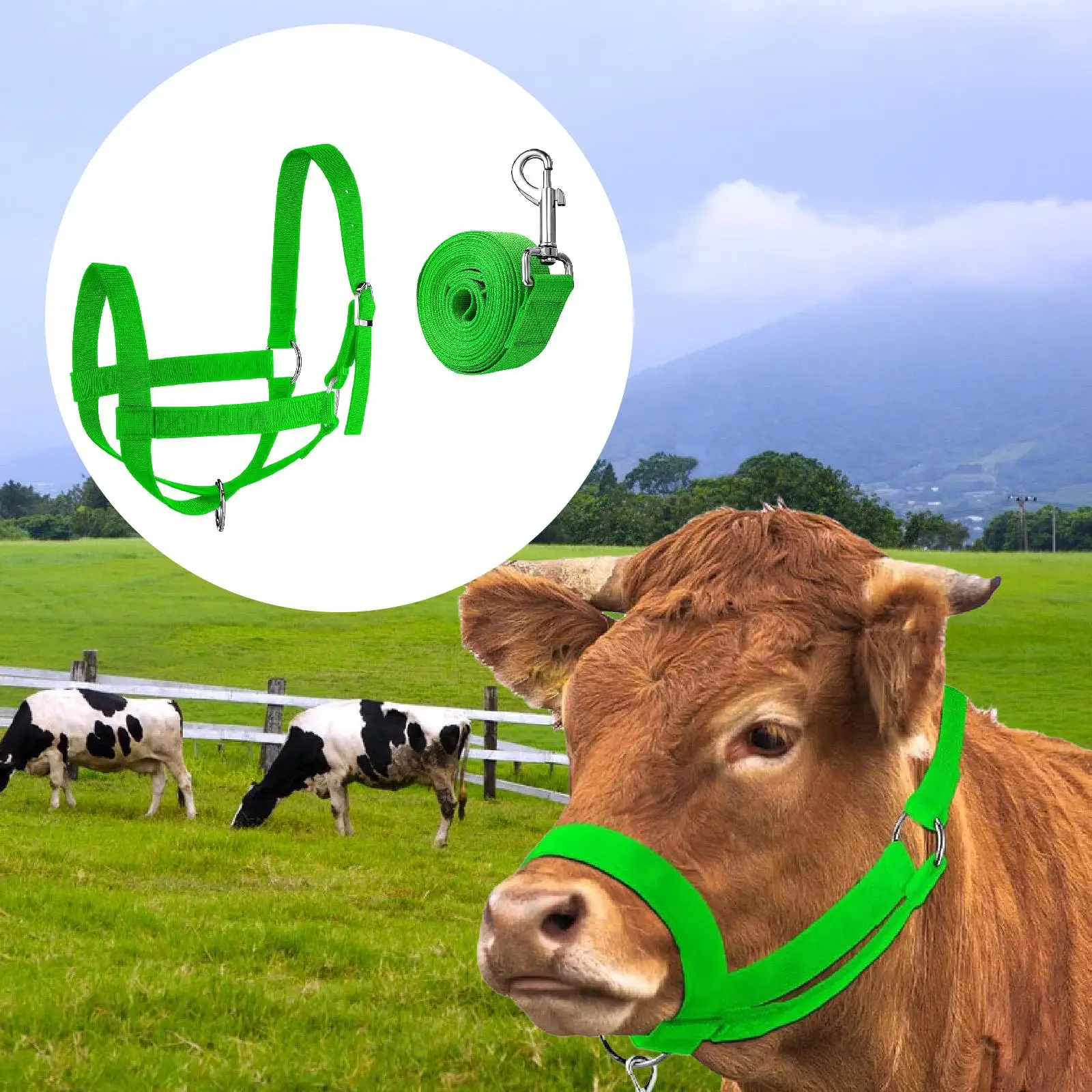 Nylon Cow Halter Calf Halters Wide Training Supplies Sheep Livestock ...