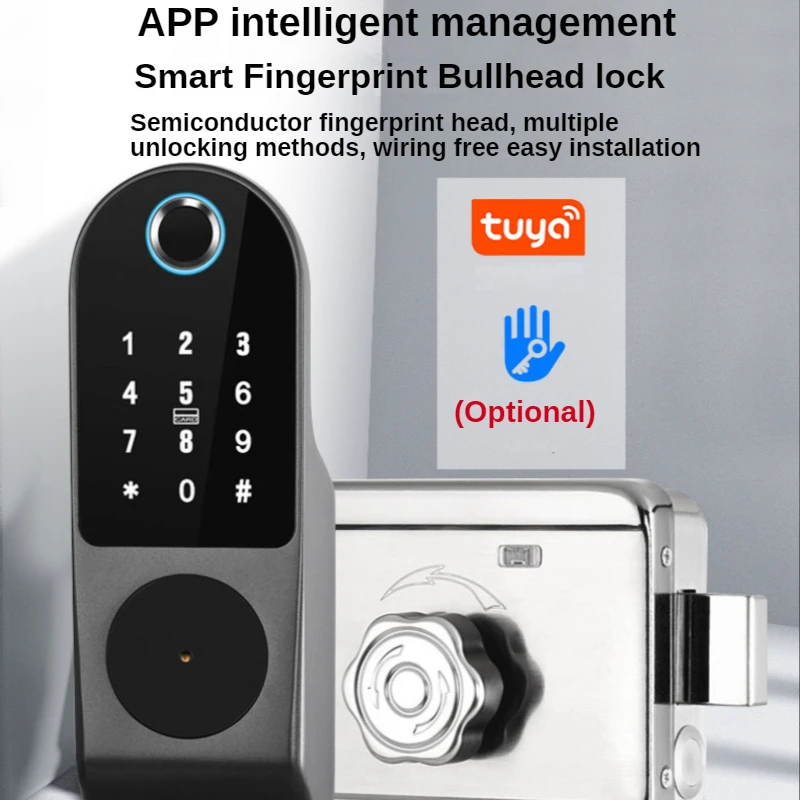 tuya-wifi-ttlock-Smart-Electric-lock-External-installation-iron-door ...