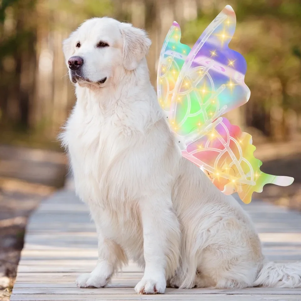 Dog-Electric-Glowing-Wings-Butterfly-Wings-Bat-Wings-with-LED-Lights ...