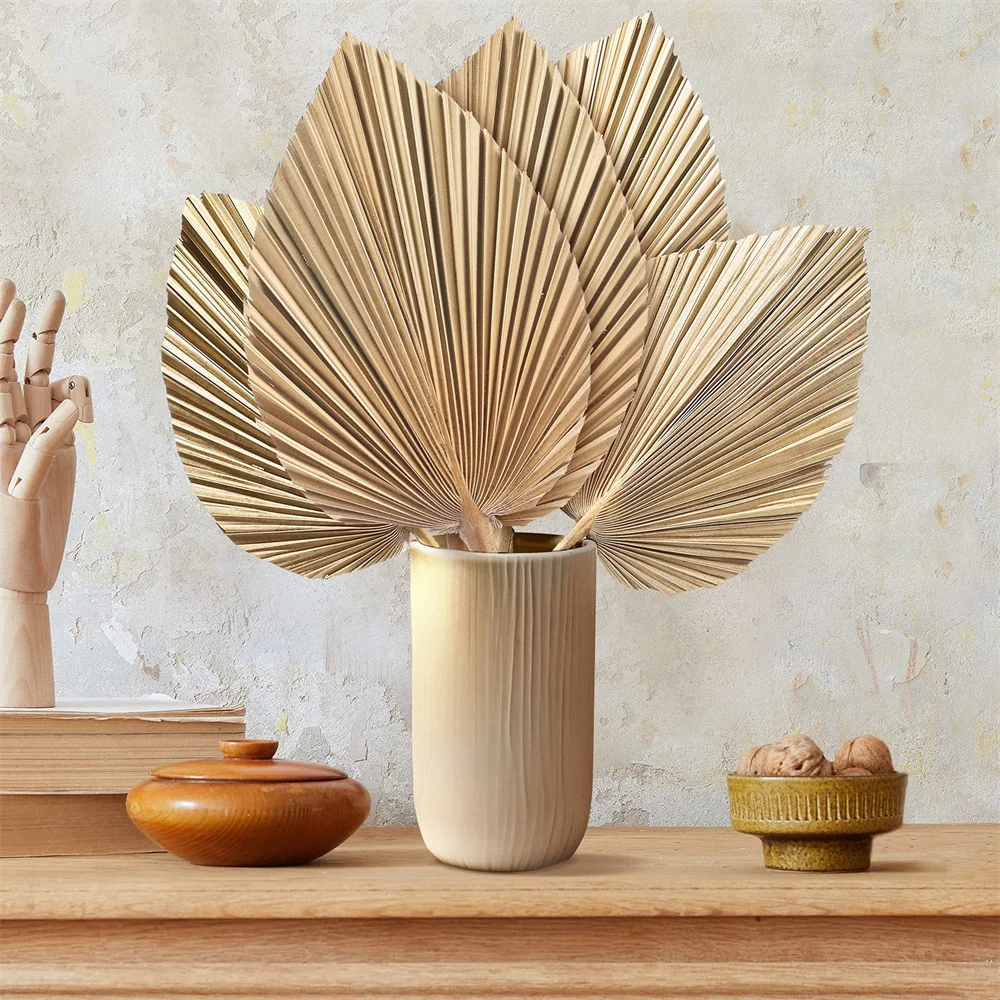 Natural Dried Large Palm Leaves Tropical Dried Palm Fans Boho Dry ...