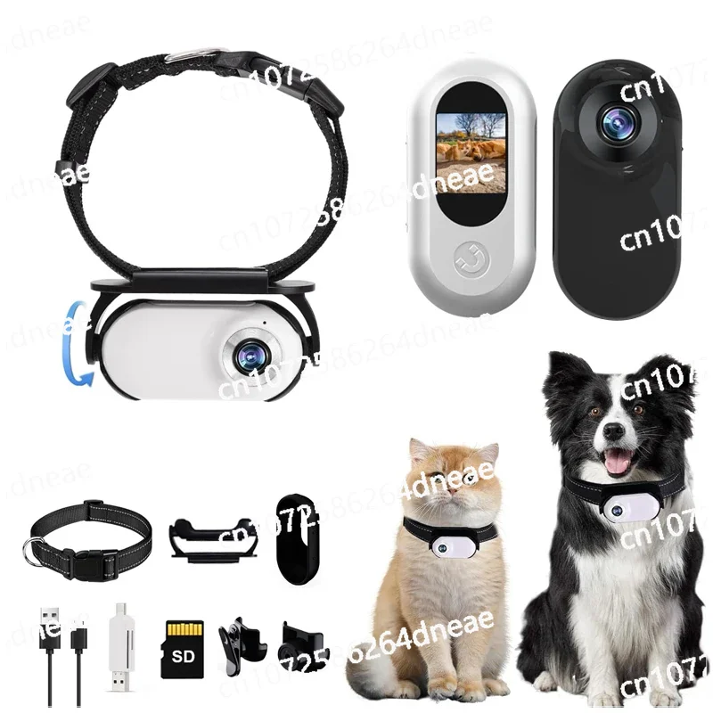 Pet Hd Magnetic Motion Camera Recorder Outdoor Real Time Tracker Video ...