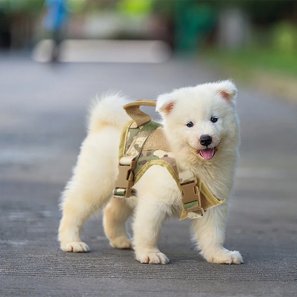 Juego-de-arn-s-y-correa-t-cticos-para-perro-peque-o-y-gato-chaleco-K9.jpg